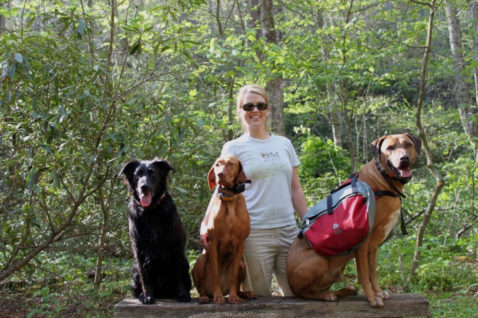 4 Amazing Benefits of Hiking with Your Dog | Dog Owner's Academy